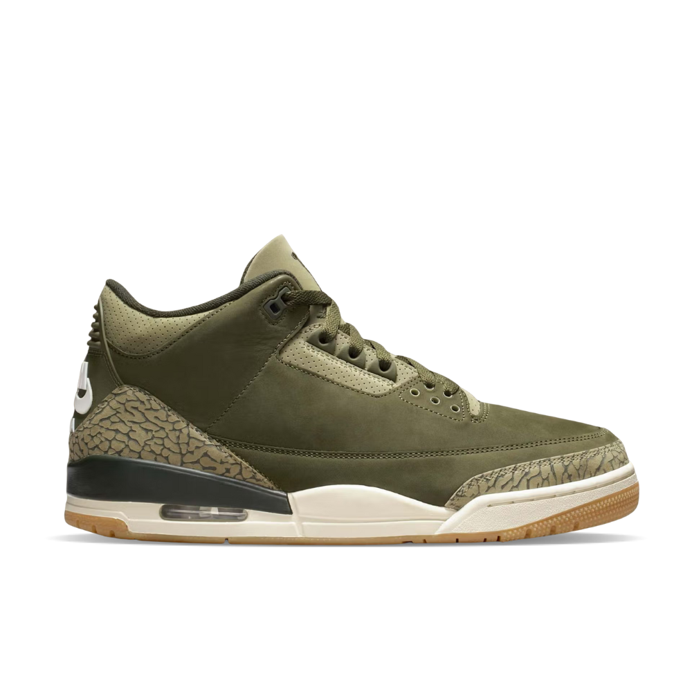 Nike Air Jordan 3 Family Affair 🔥 alle Release-Infos
